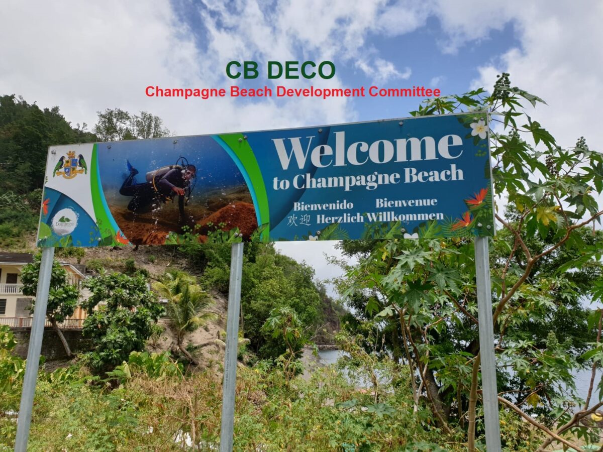 How to reach us at Champagne Beach - Whale Watch Dominica