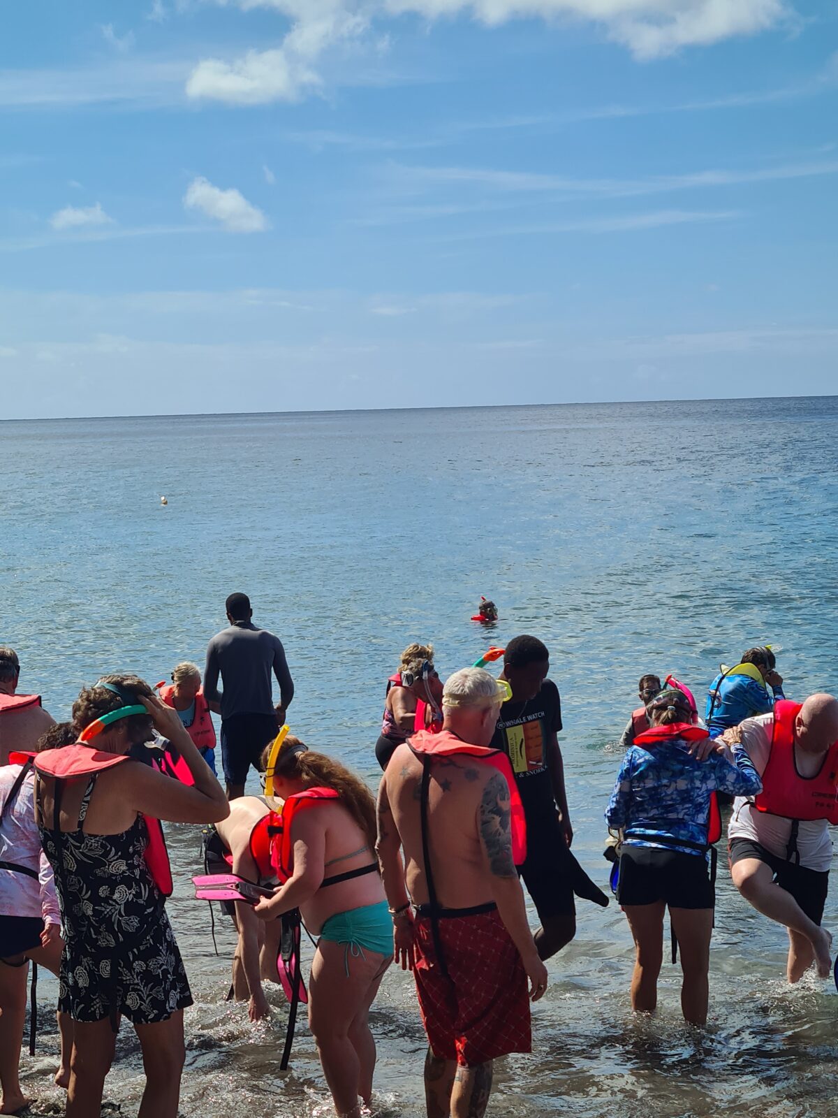 Snorkeling - Whale Watch Dominica